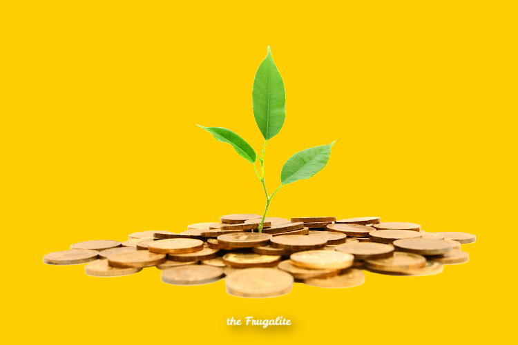 Can You Save Money Growing A Garden The Frugalite Can You Save Money Growing A Garden The Frugalite