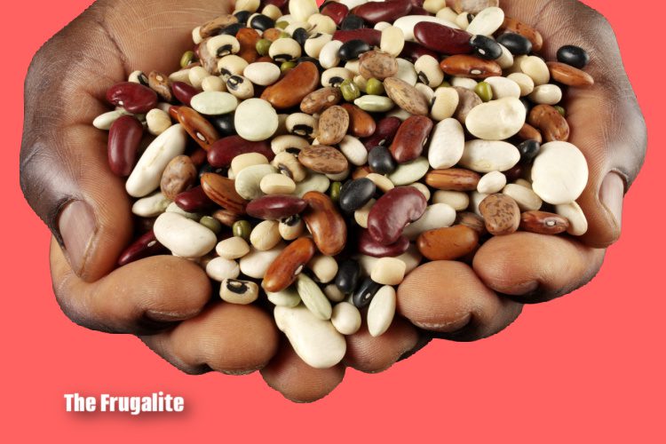How to Cook Dry Beans from Scratch - The Frugalite